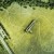 MIT Site Plan | Visualizing Architecture