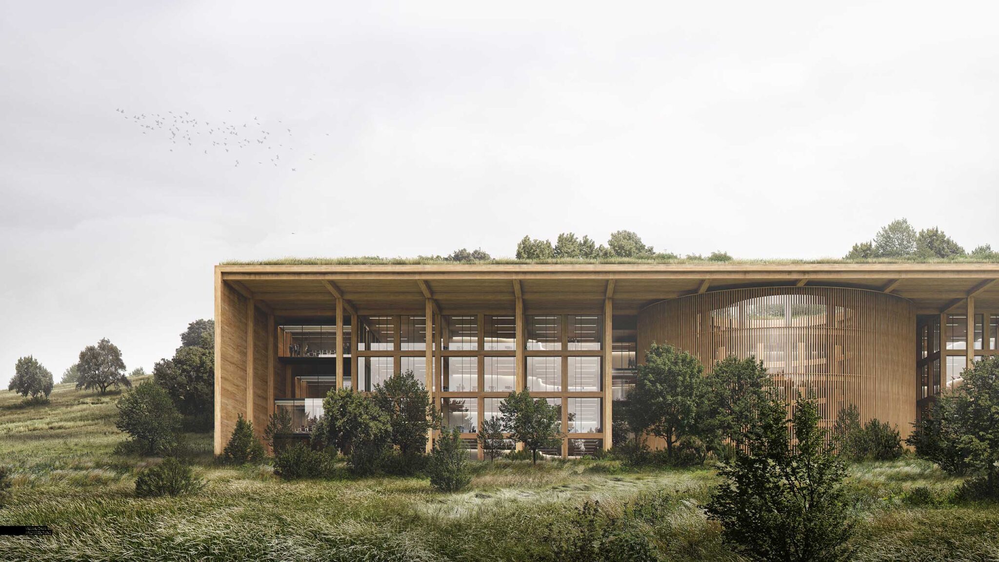 Texas Office Elevation | Visualizing Architecture