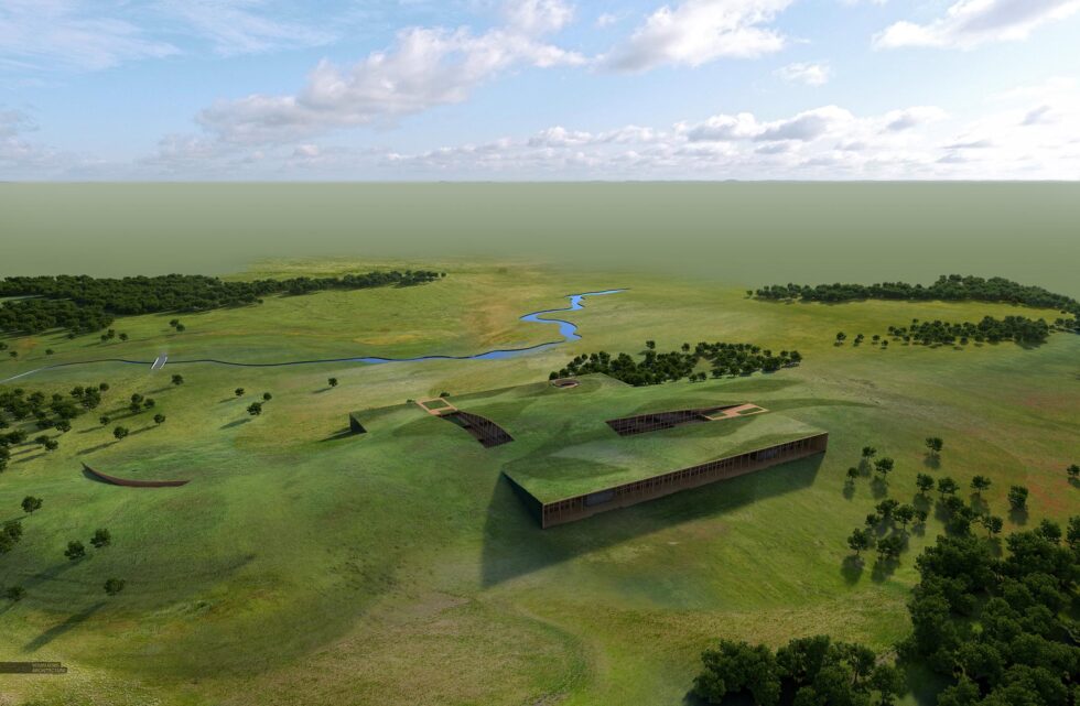 David Decker: Texas Prairie: Aerial Grass